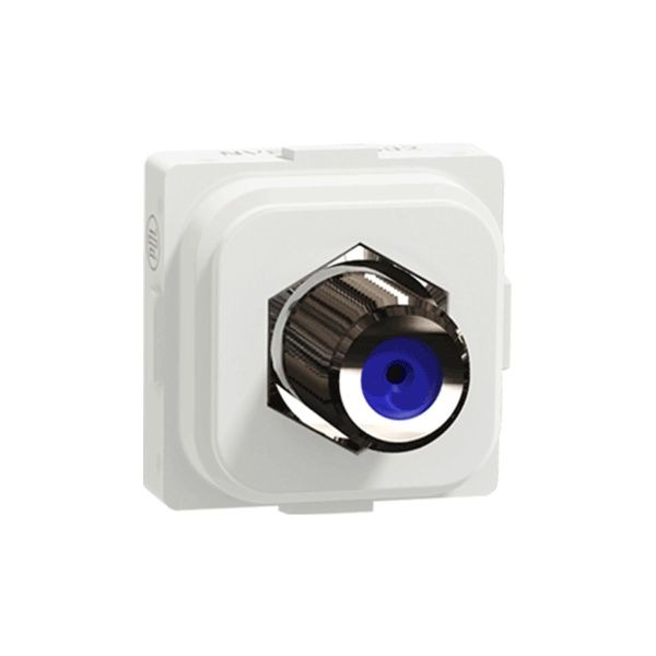 Iconic F-Type Satelite Module 40TVF – Proximate Electrical